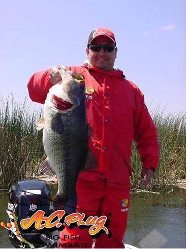 Swimbaits for Bass – AC Plug Swimbait Company